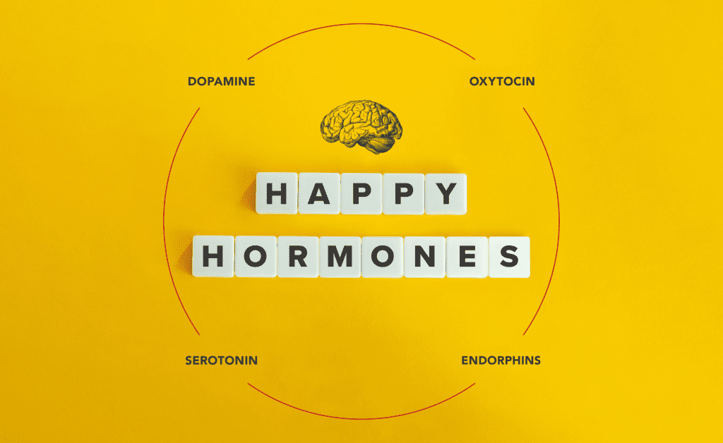 Antiarrhythmic drugs: Flecainide (Class 1C) – Sumathi Publications