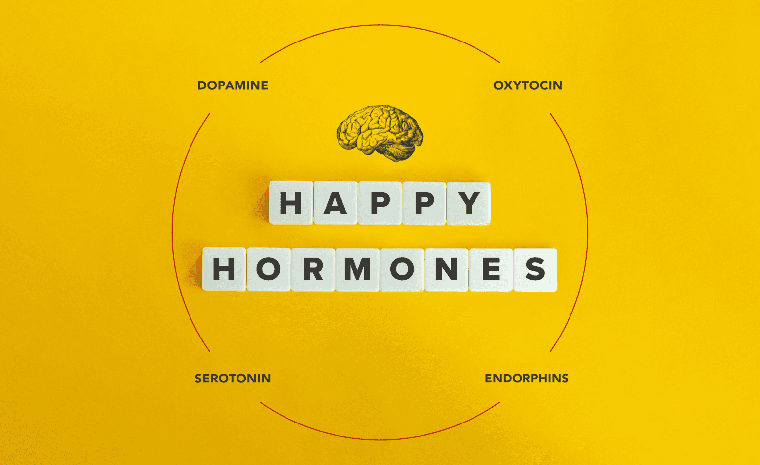 Antiarrhythmic drugs: Flecainide (Class 1C) – Sumathi Publications